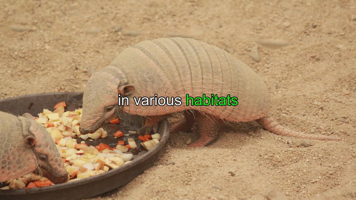 Arduino strtok - How to Easily Extract Tokens from a string